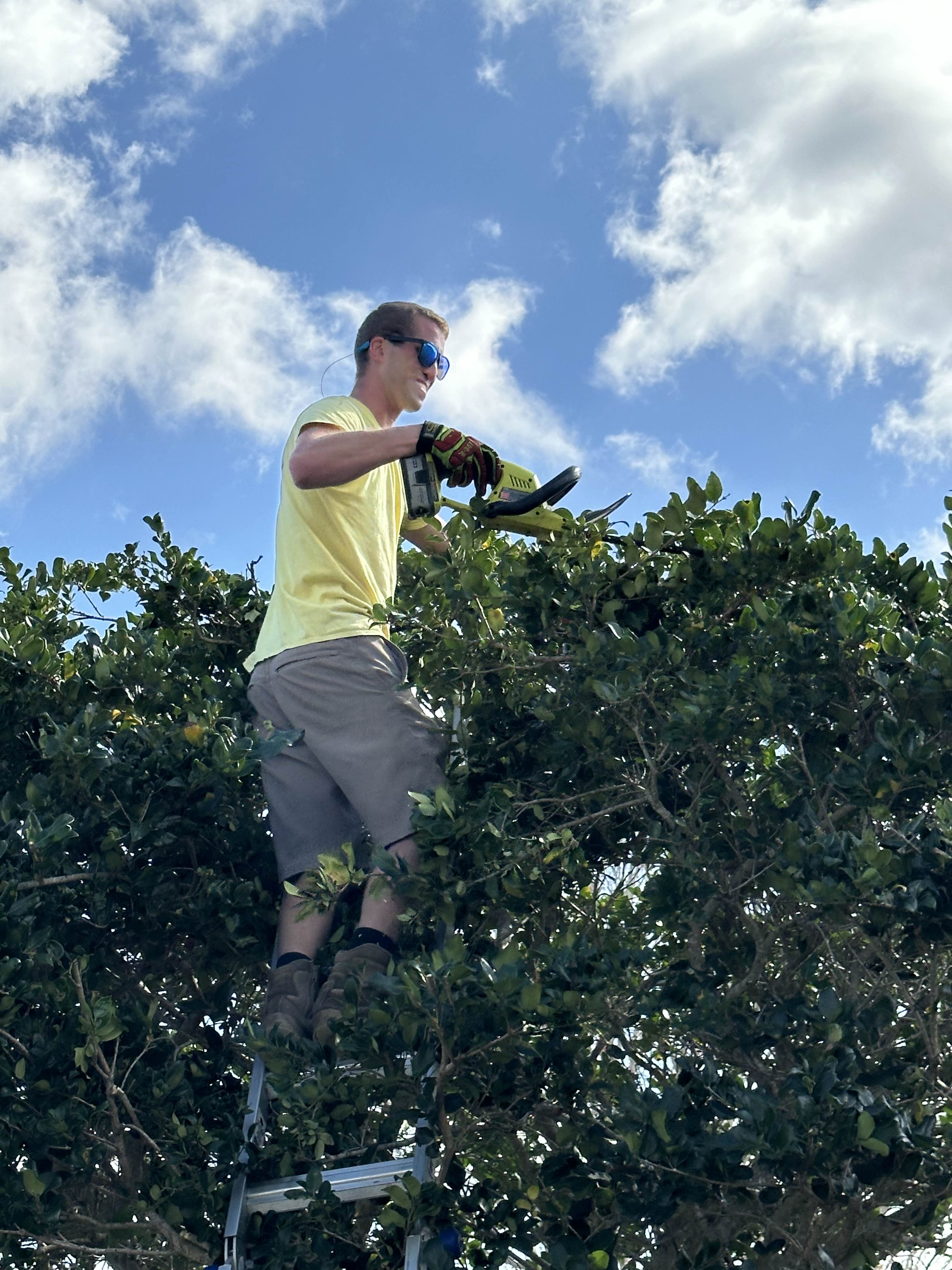 Ramsey Handyman Services